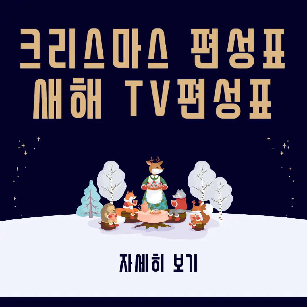 2024 크리스마스 영화 편성표 KBS SBS MBC JTBC EBS TVN 2025년 1월 1일 새해 특선영화 TV채널 총정리